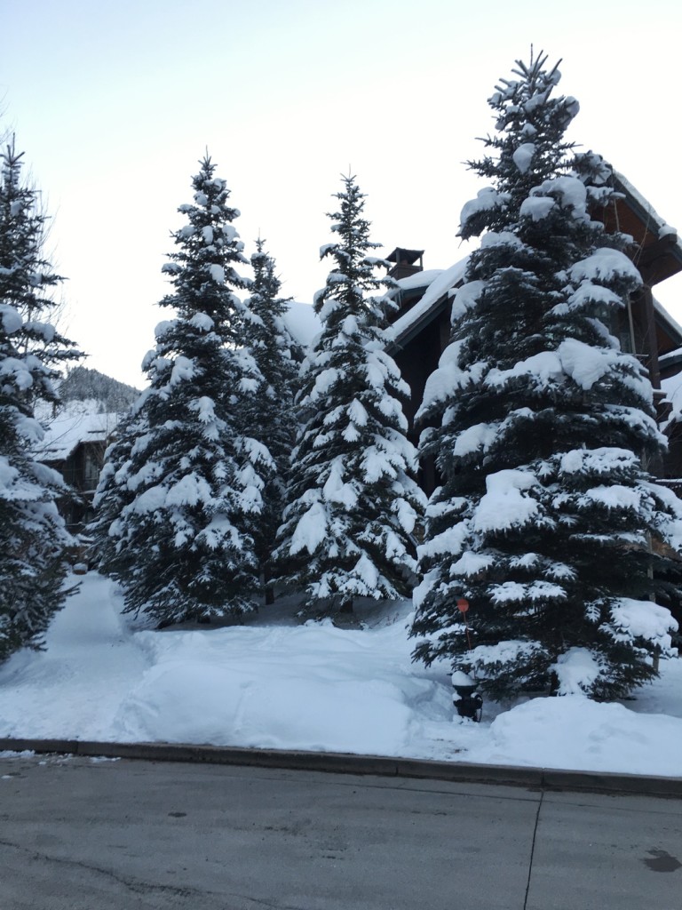 Aspen Travel Guide - Blank Itinerary